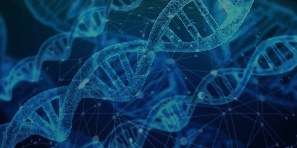 Quantum Pharma | Quantum Pharma’s mission is to substantially improve ...